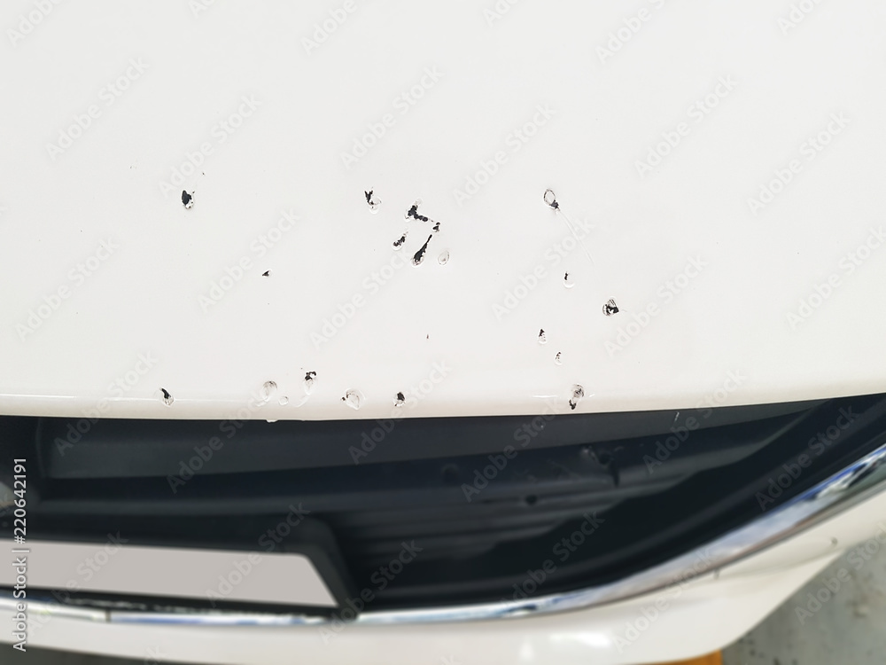 White car Fangs scratch from dog bite. Stock Photo | Adobe Stock