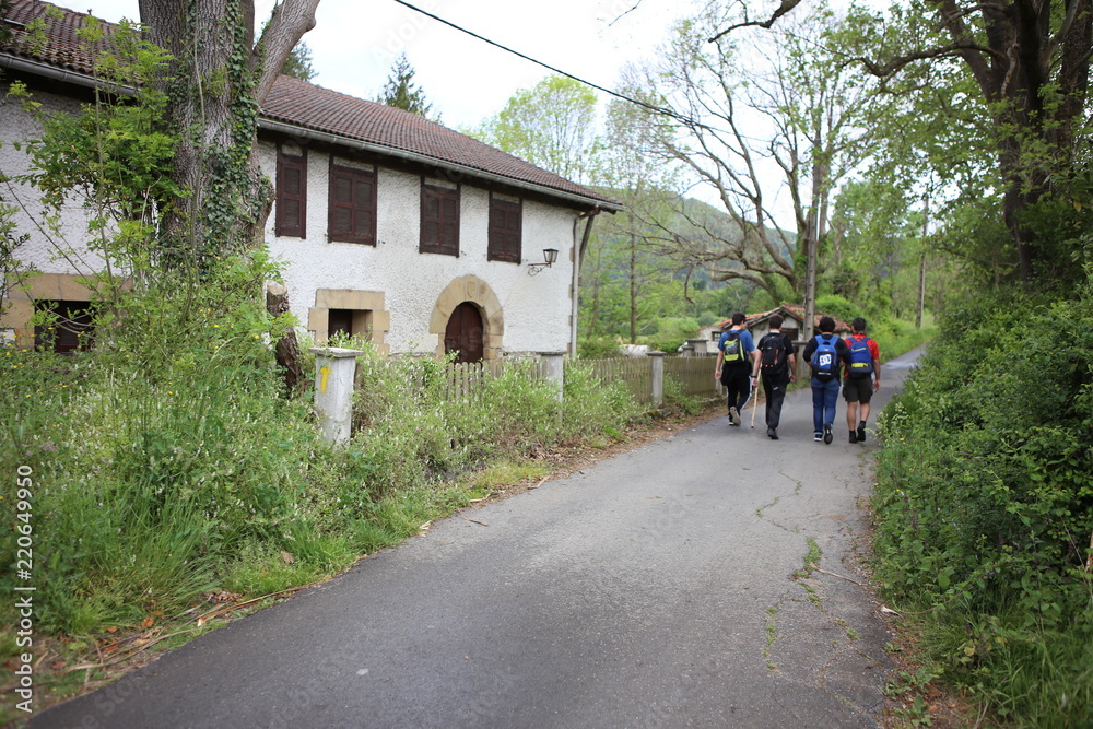 gelber Pfeil am Camino del Norte mit Beginn in Irun Stock Photo | Adobe ...
