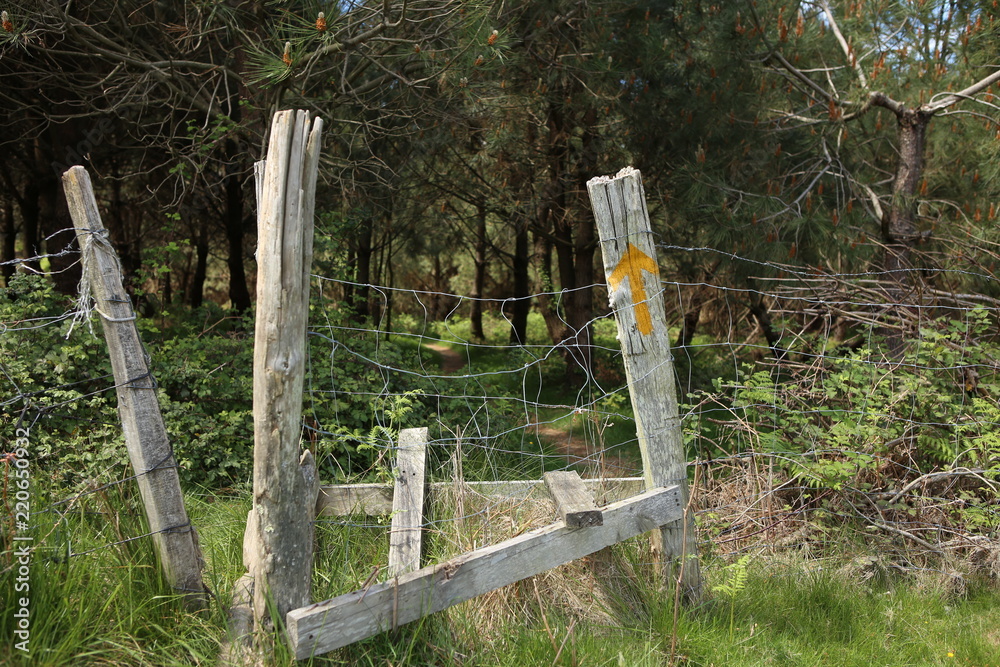 Foto de gelber Pfeil am Camino del Norte mit Beginn in Irun do Stock ...
