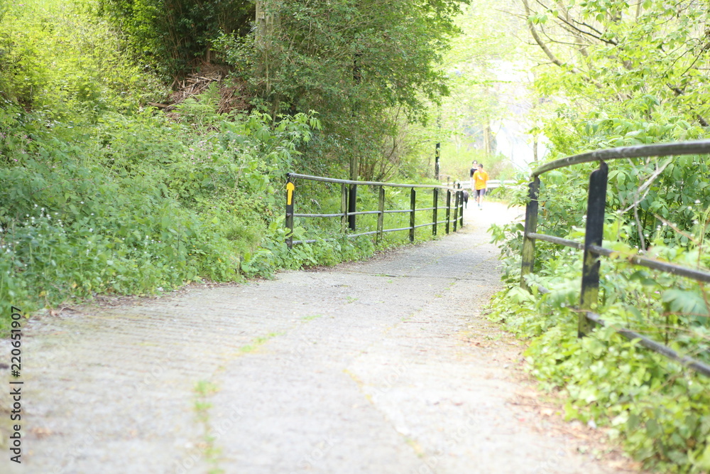 gelber Pfeil am Camino del Norte mit Beginn in Irun Stock Photo | Adobe ...