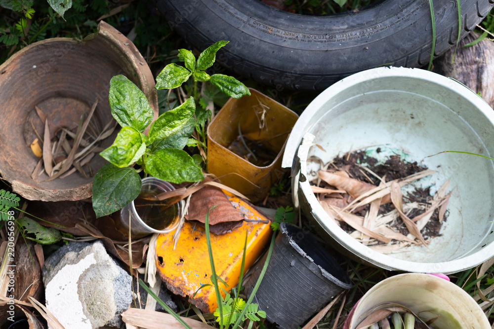 The presence of dengue vectors in discarded tires and artificial water ...