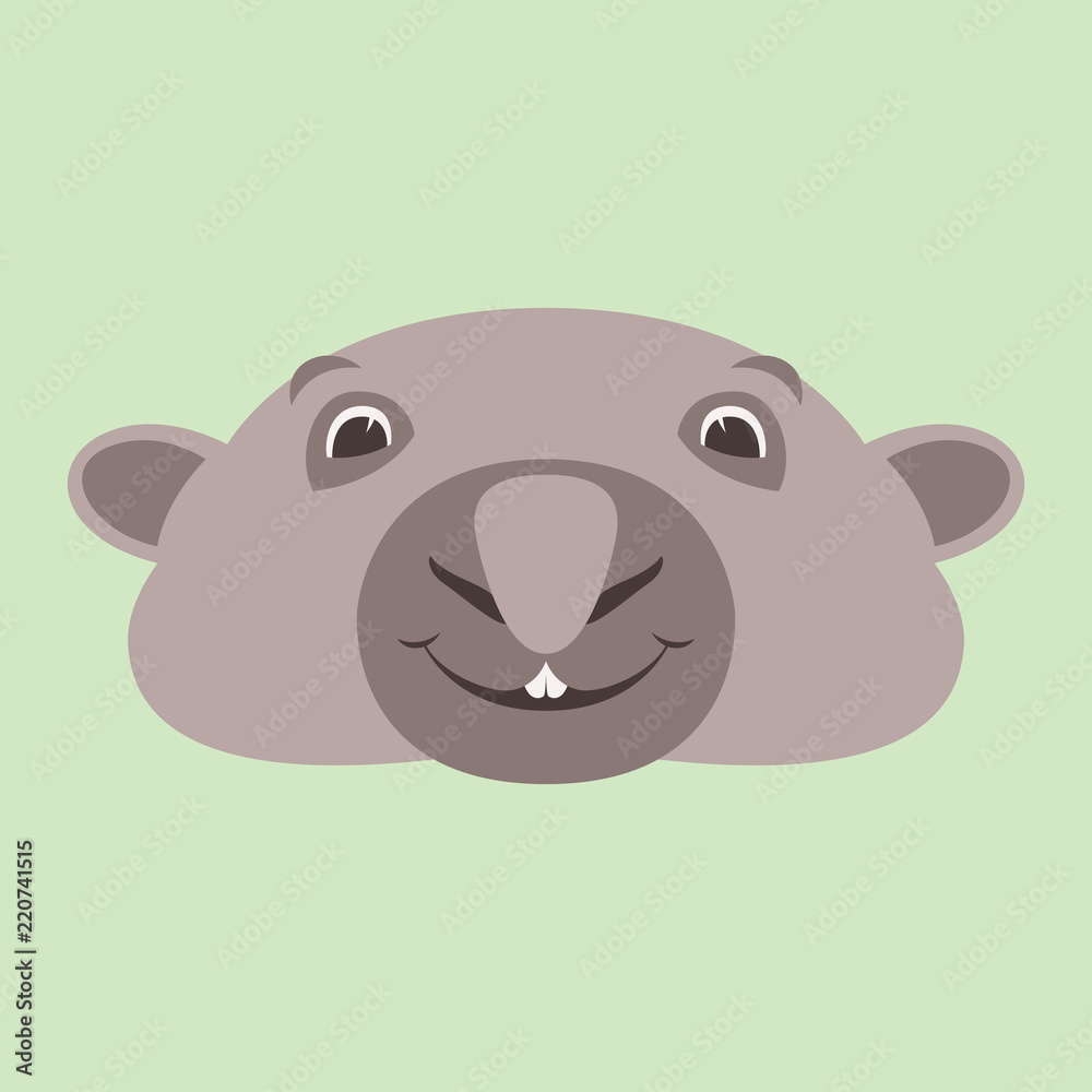 wombat face vector illustration flat style front Stock Vector | Adobe Stock