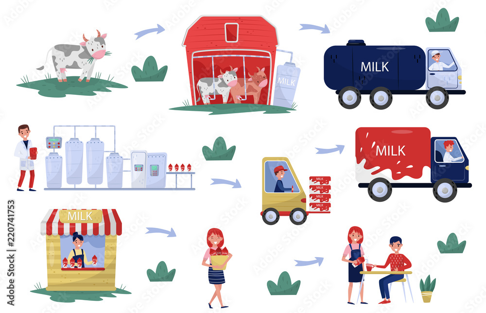 Flat vector illustration showing production and processing milk stages ...