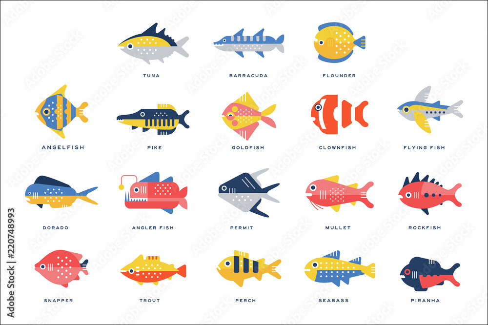 Collection of sea and river fish and lettering name in English vector ...