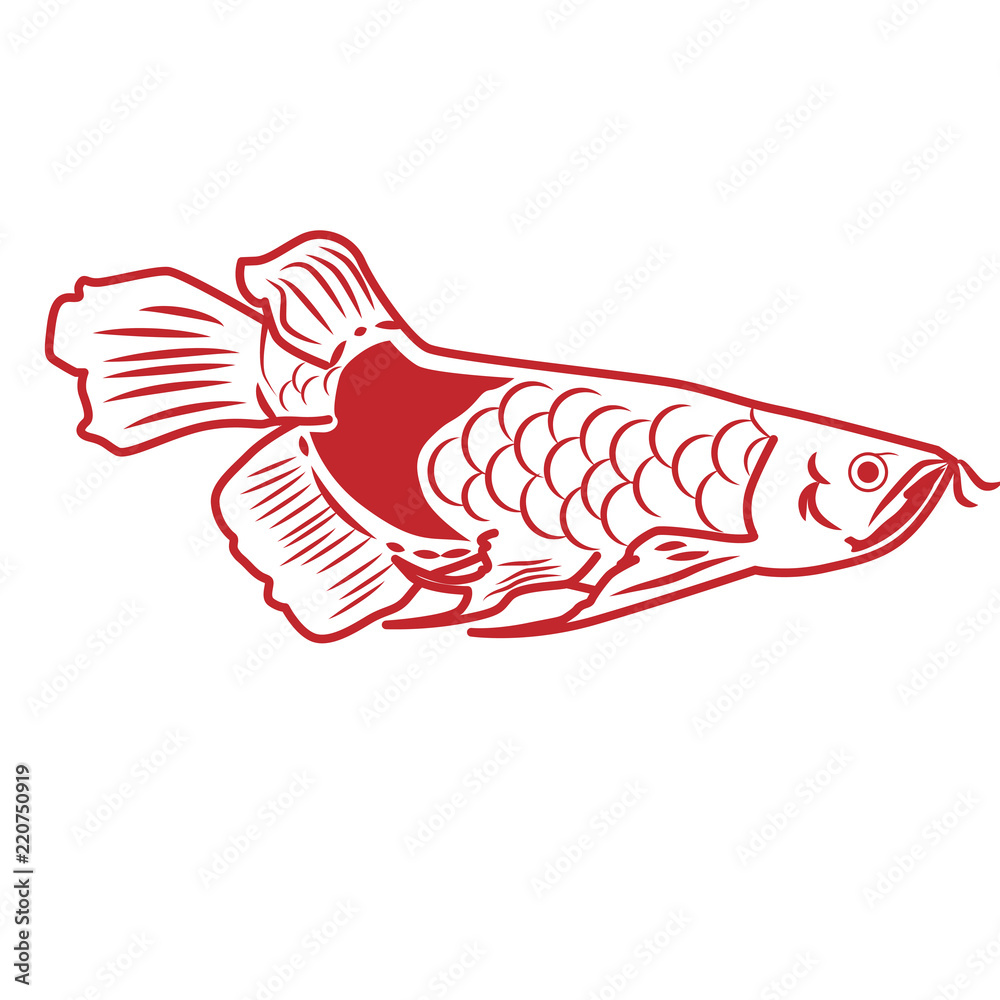 Arowana Fish Drawing style vector Stock Vector | Adobe Stock
