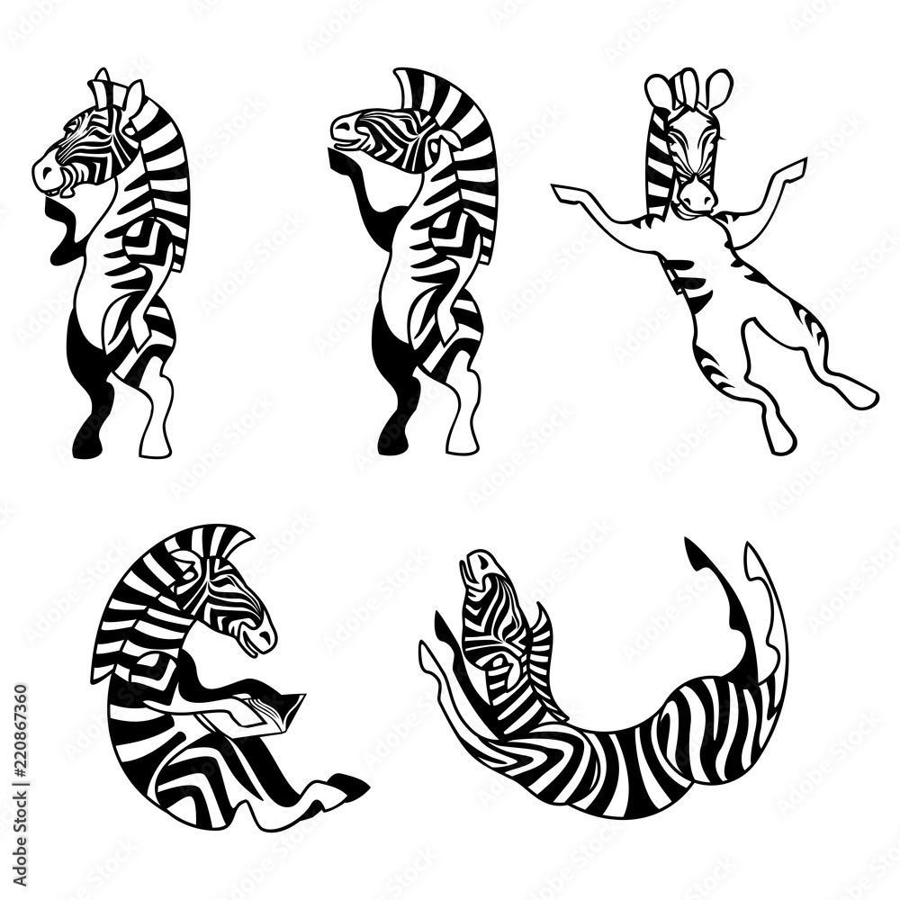 Vector set of Zebra images in different poses Stock Vector | Adobe Stock