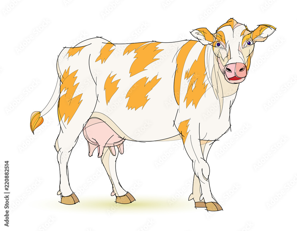 Fantasy illustration of cute standing cow on white background. Hand ...