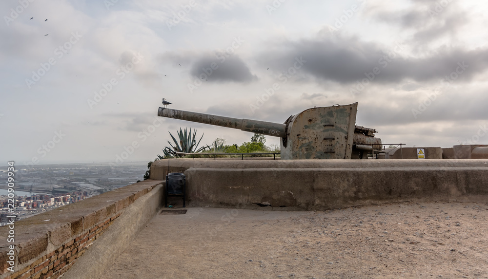 Foto de Seagull sitting on the muzzle of the gun in Montjuic Castle ...