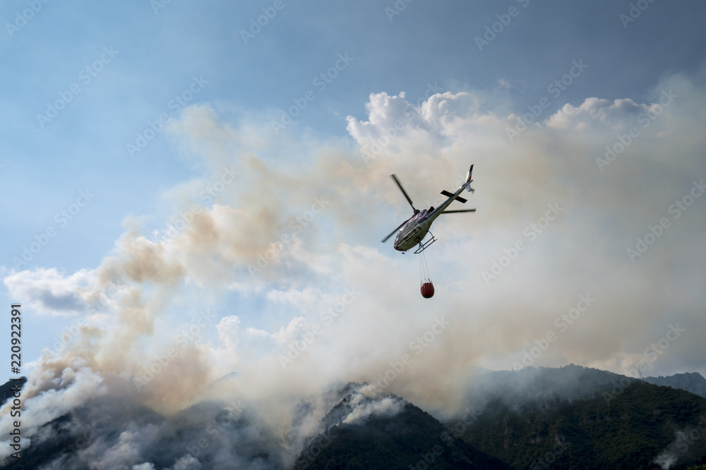 Aerial firefighting with helicopter on a big wildfire in a pine forest ...