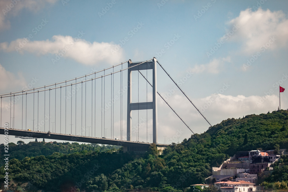 Poster Bridge – Wall Art | UkPosters