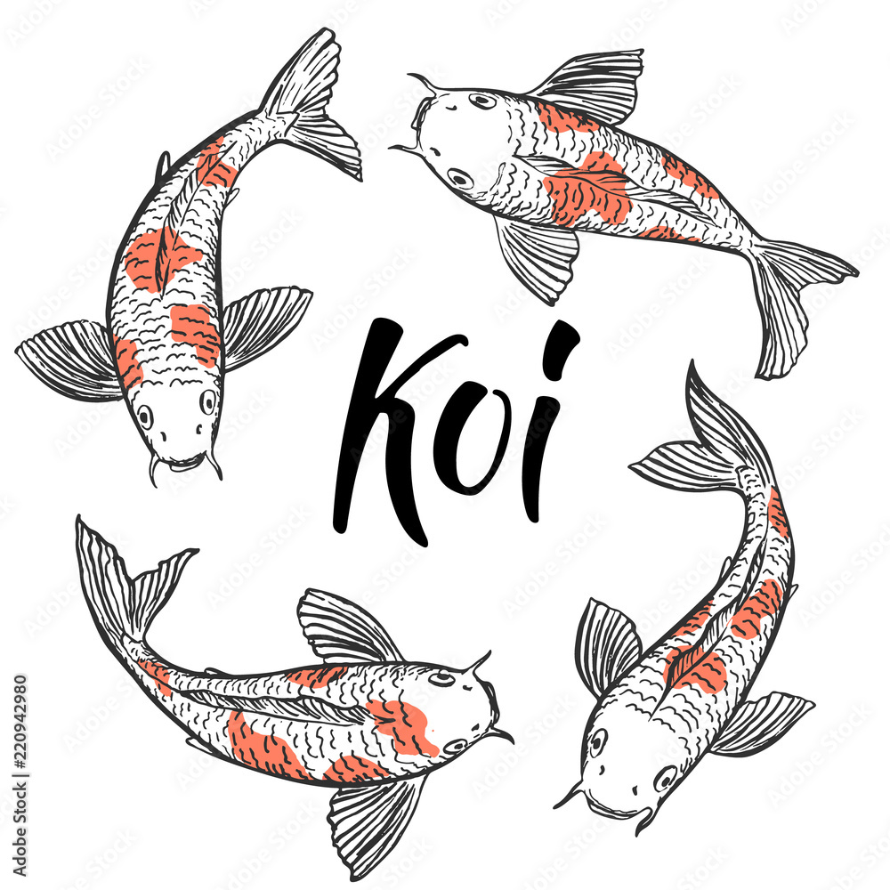 Koi fishes swimming in a circle around hand written calligraphy "Koi ...
