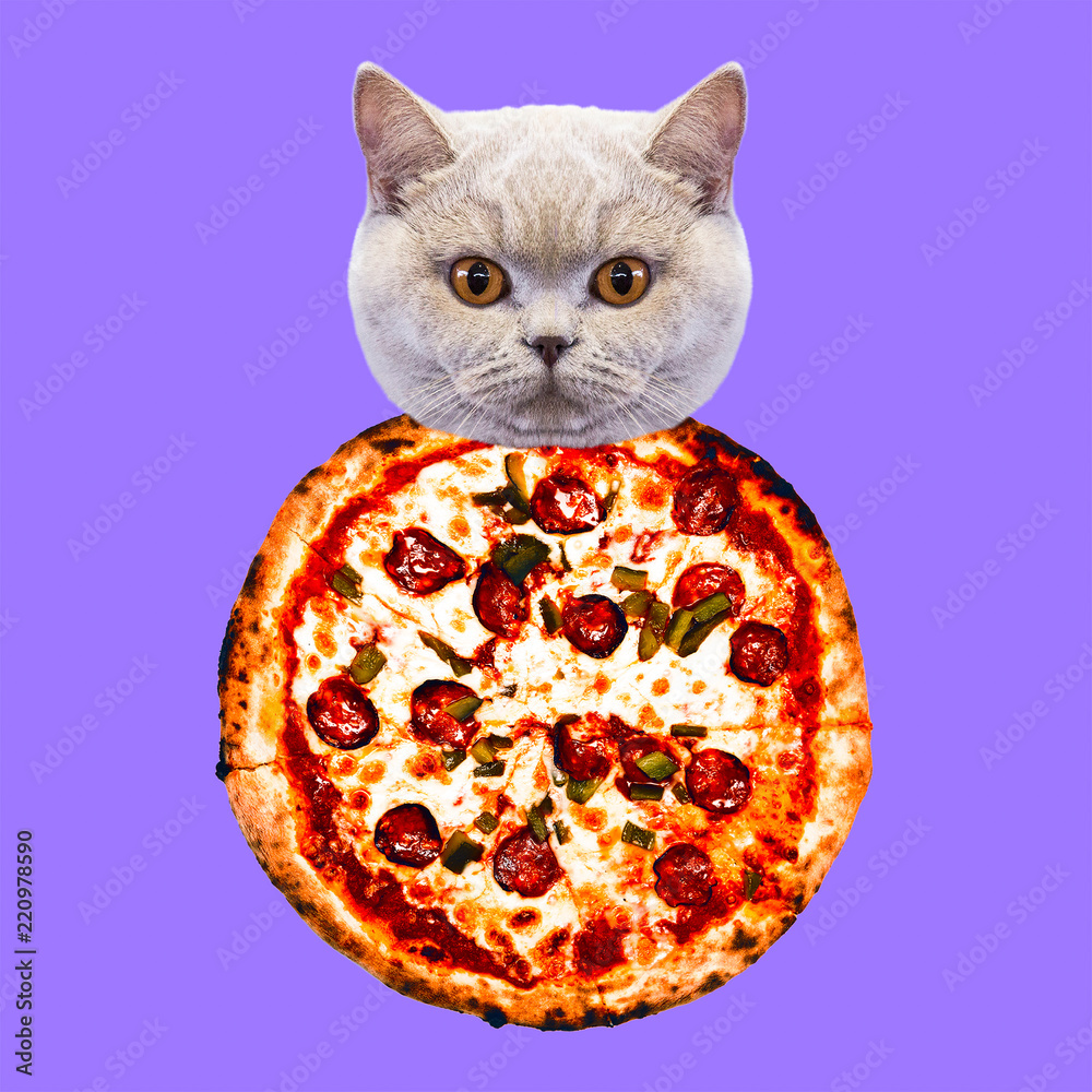 Pizza E Cat
