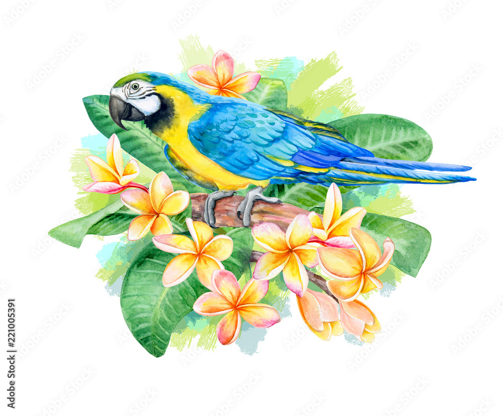 Blue Macaw Clipart