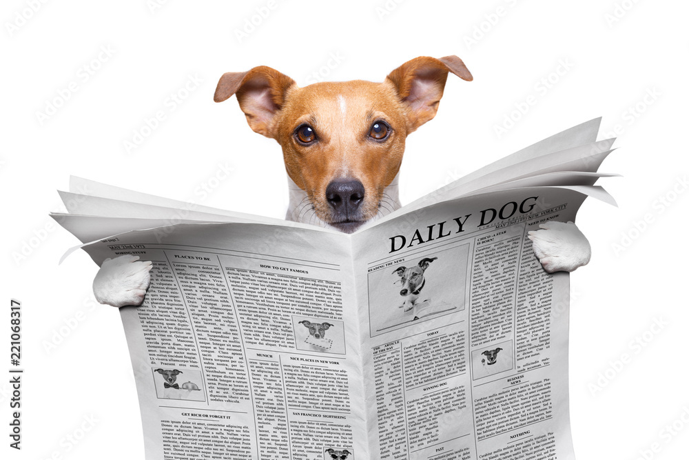 Dog Reading Newspaper