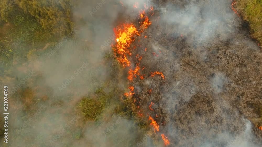 aerial footage forest fire on the slopes of hills and mountains, bush ...