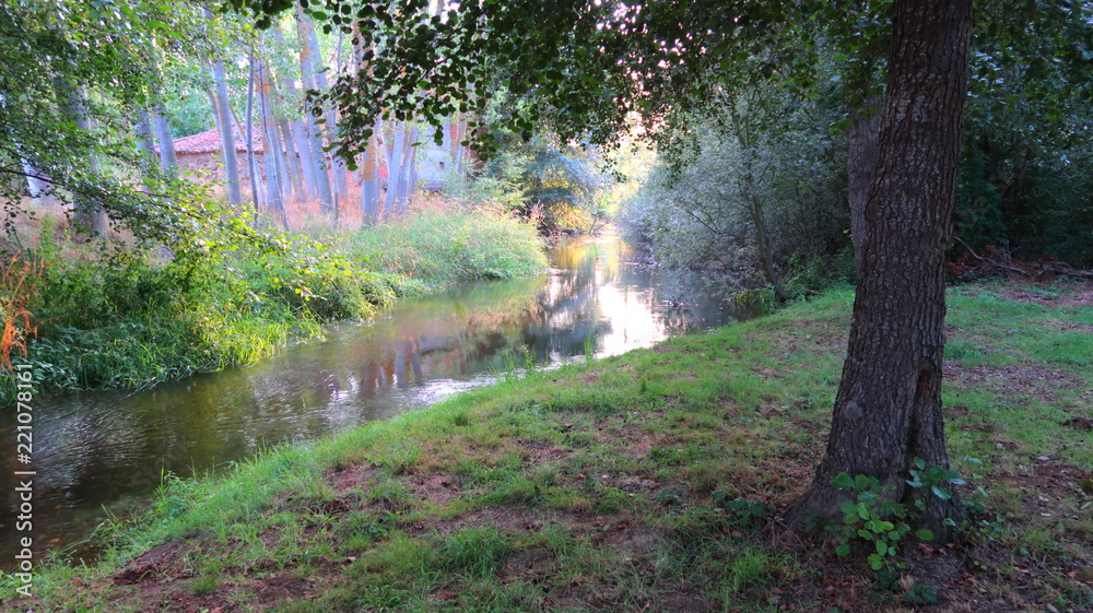 Paisaje de bosque con riachuelo y casa escondida con la iluminación del ...