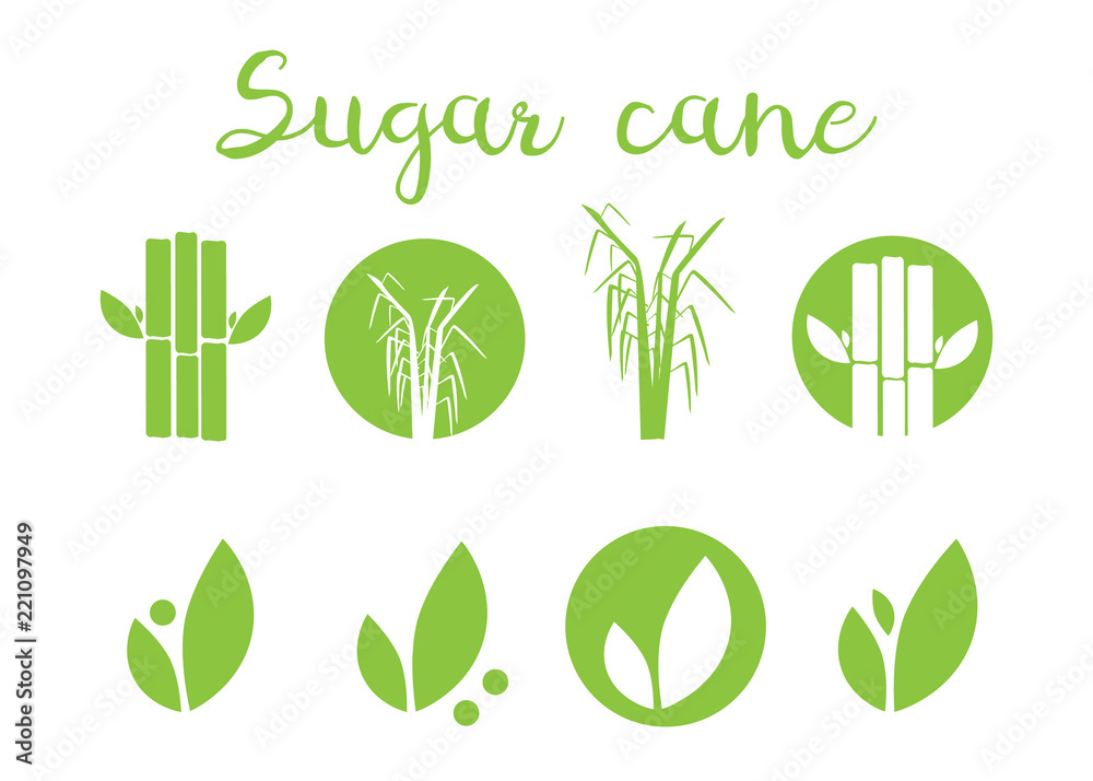 Sugar cane vector illustration. Sugar and sugar cane labels Stock ...