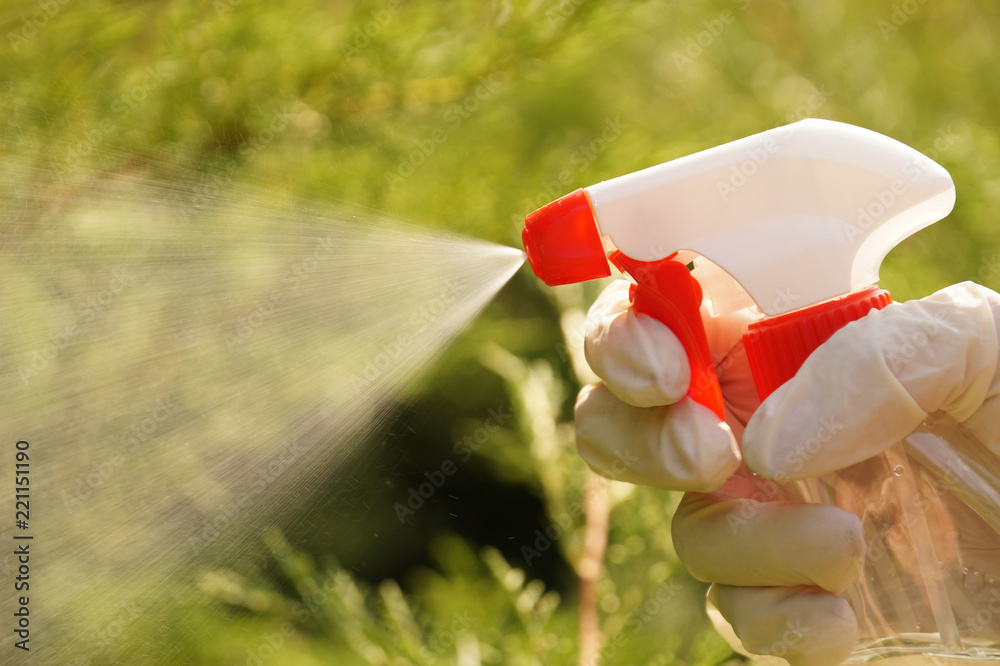 A stream of liquids highlighted by the sun. Spraying or spraying plants ...