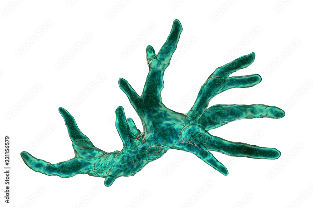 Balamuthia mandrillaris amoeba, 3D illustration. A free-living ...