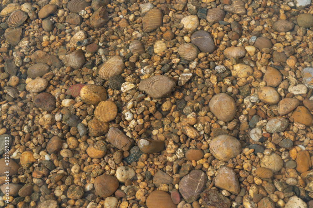 beautiful ocean coastal rocks in a water - pacific ocean bottom rocks ...