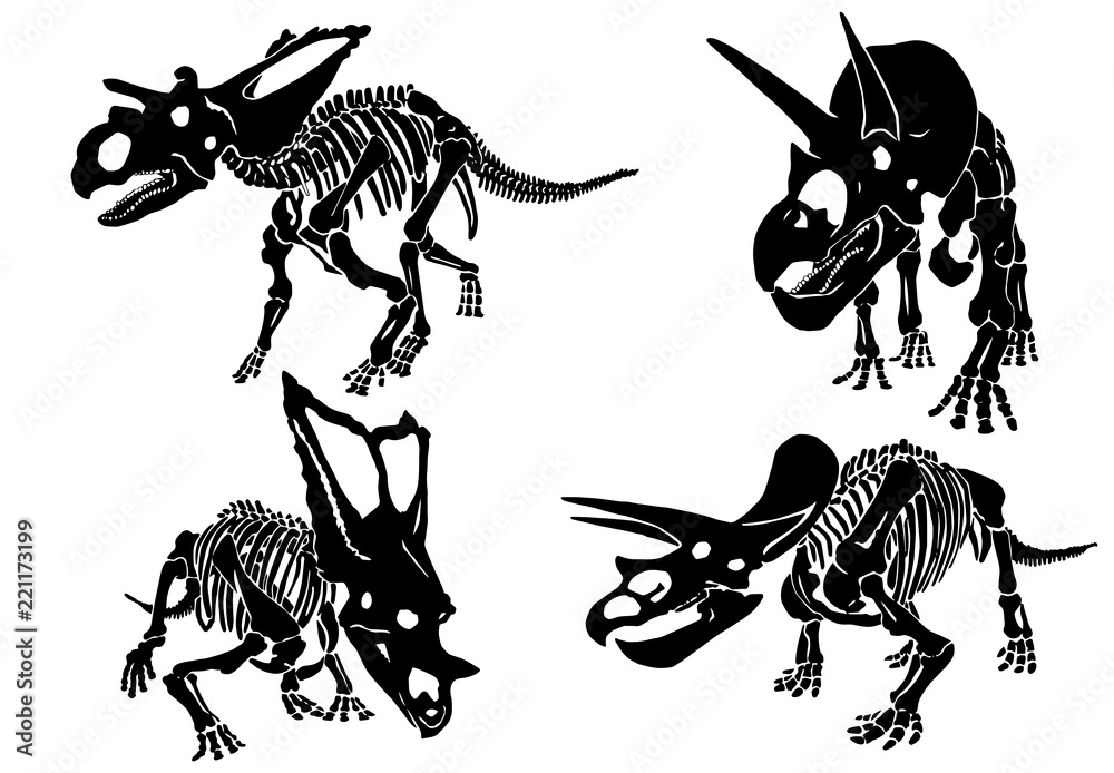 Graphical set of dinosaur skeletons isolated on white background,vector ...
