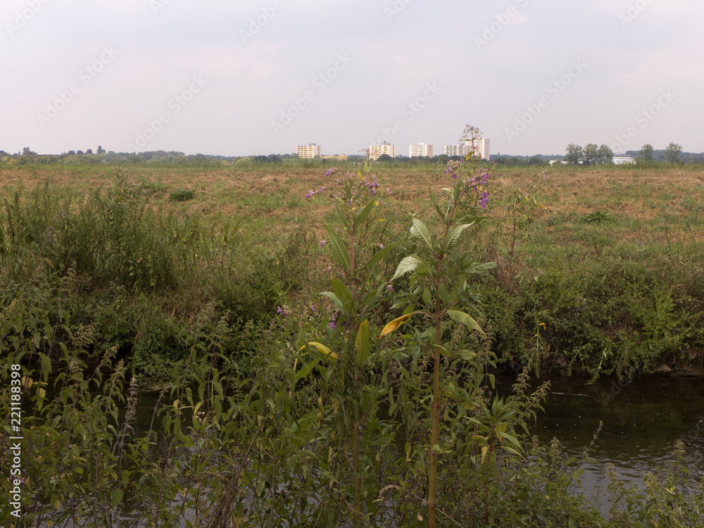 Der Fluss Erft bei Erftstadt mit Blick über Wiesen und Felder. Im ...