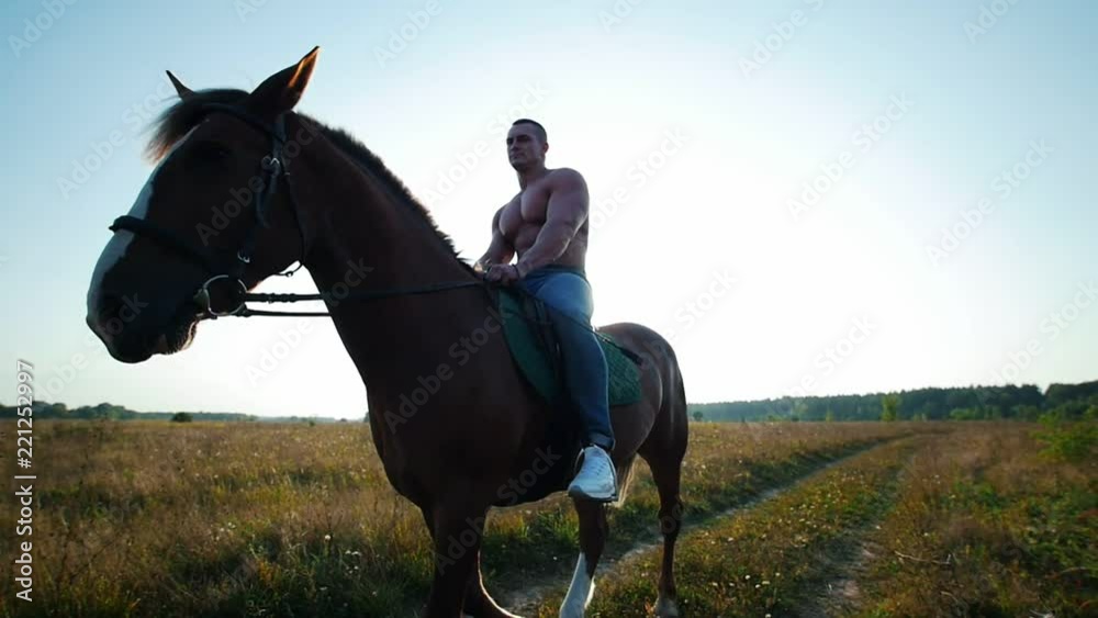 Strong attractive man riding a horse in the summer against the sun in ...