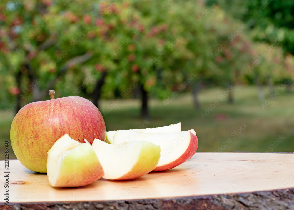 Frische Äpfel - Apfelernte Stock-Foto | Adobe Stock