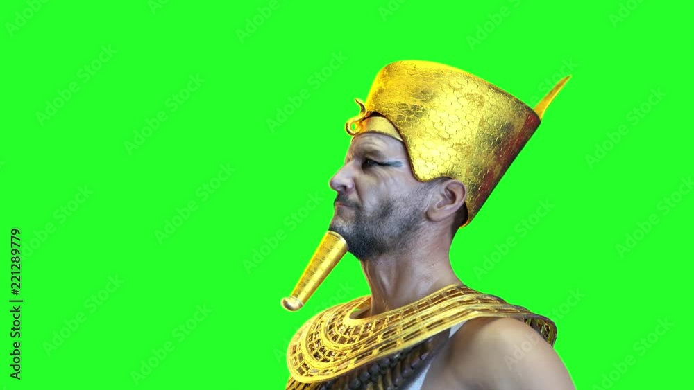 ancient Egyptian Pharaoh render 3D on green background Stock ビデオ ...