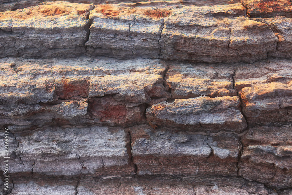 Wood or natural wood texture and brown rough natural wood background ...