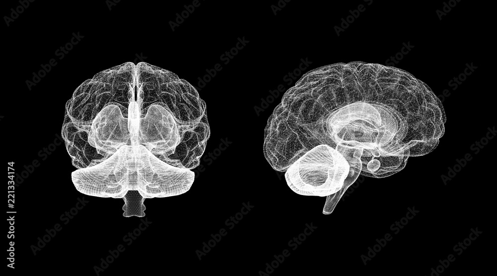 Digital X-ray Brain 3D illustration brain all views Stock Illustration ...