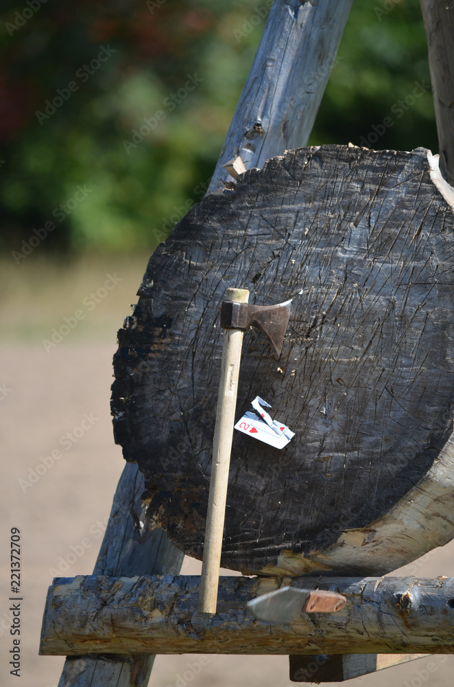 Rustic axe throwing target made from a stump of wood with split card ...