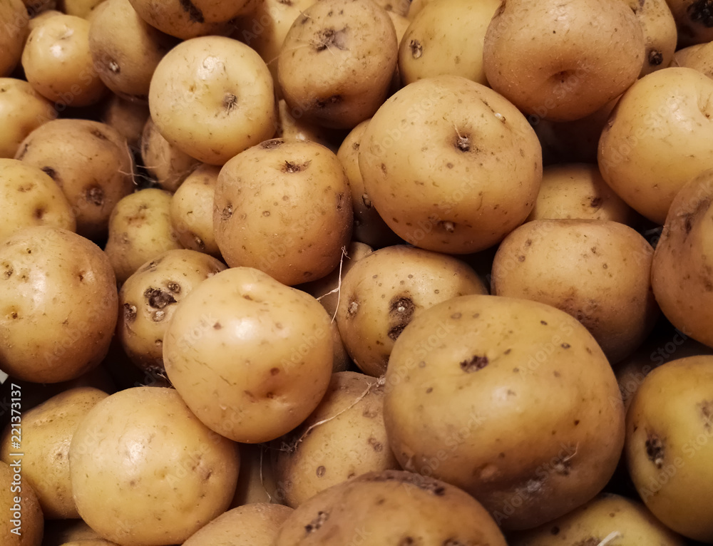 Colombian Creole potato (papa criolla). Solanum phureja raw tuber ...