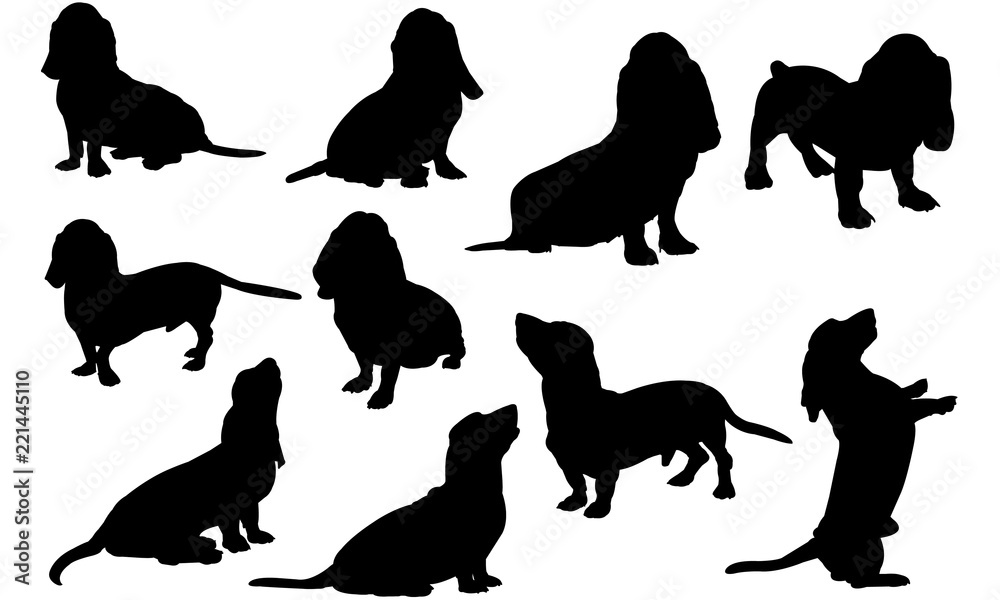 Poster Basset Hound Dog svg files cricut, silhouette clip art, Vector ...