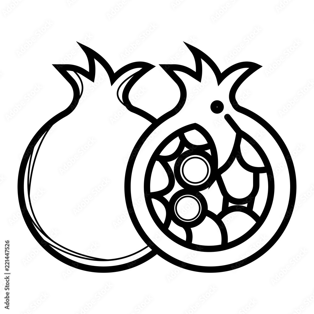 Pomegranate fruit line art vector icon Stock Vector | Adobe Stock
