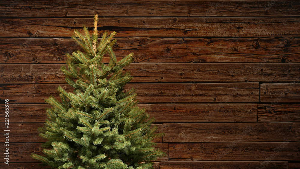 Classical fir christmas tree without decorations in front of a brown ...
