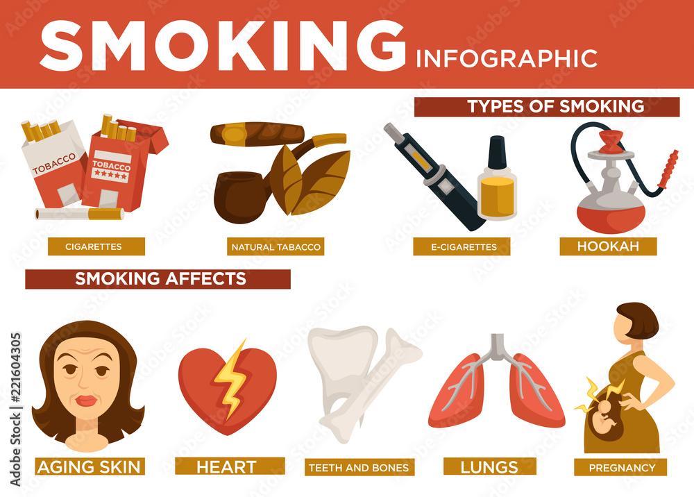 Smoking infographic types and affect on body vector Stock Vector ...
