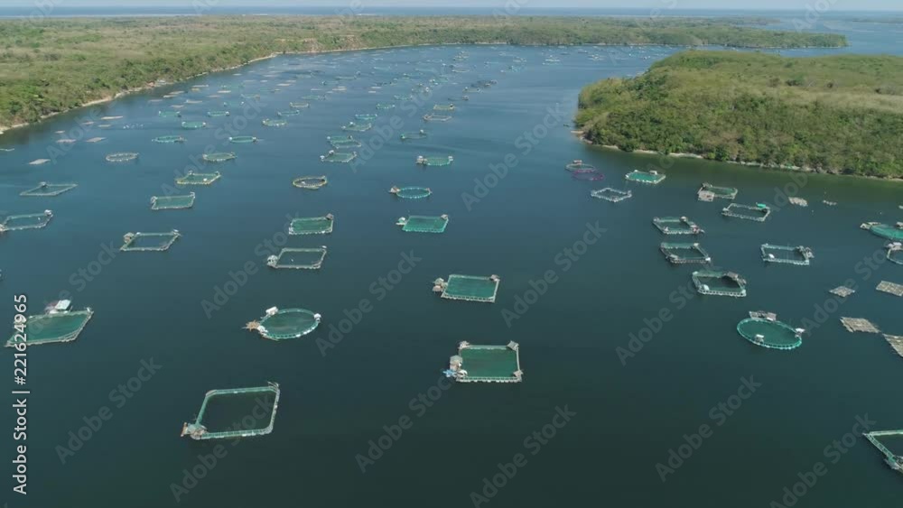Fish farm with cages for fish and shrimp in the Philippines, Luzon ...