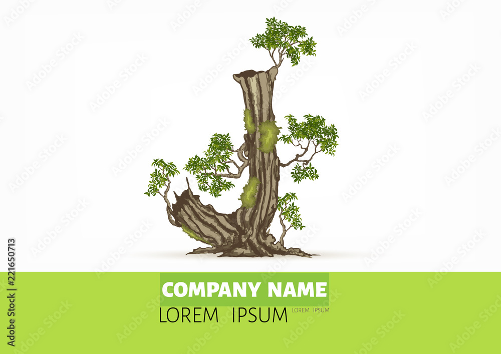 Tree font.Twisted tree in the shape of letter.Letter A B C vector ...