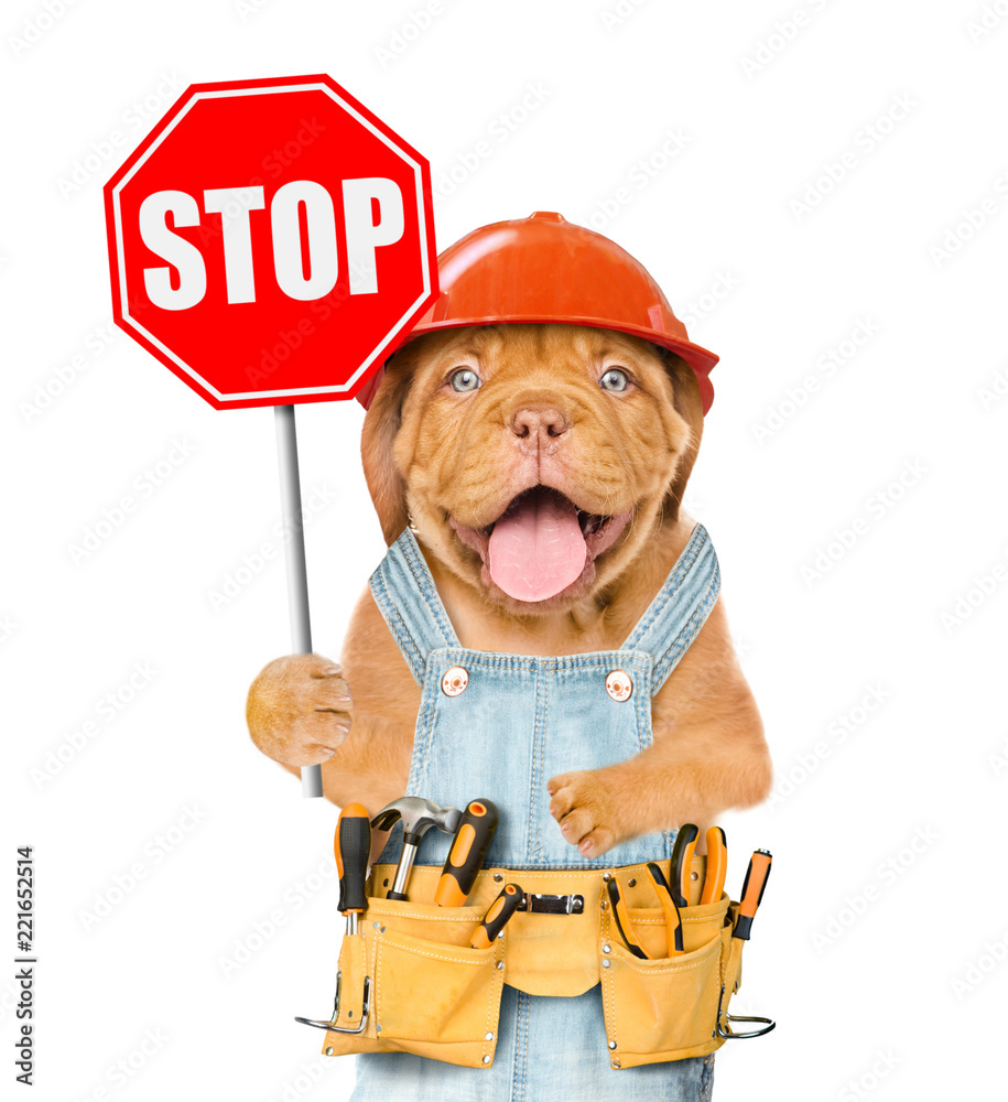 Funny puppy in overalls and hard hat with tool belt showing stop sign ...