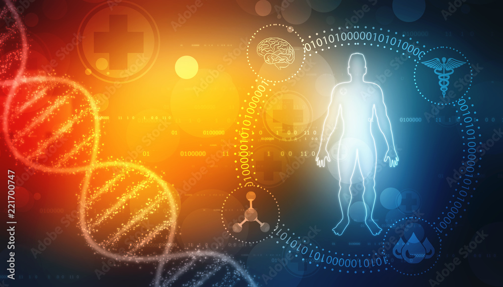 Human Anatomy with Dna Structure in medical background, Chromosome Man ...
