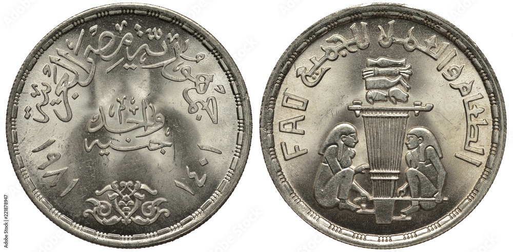 Egypt Egyptian silver coin 1 one pound 1981, country name, denomination ...