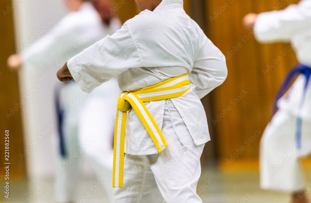 Yellow Belt Kata