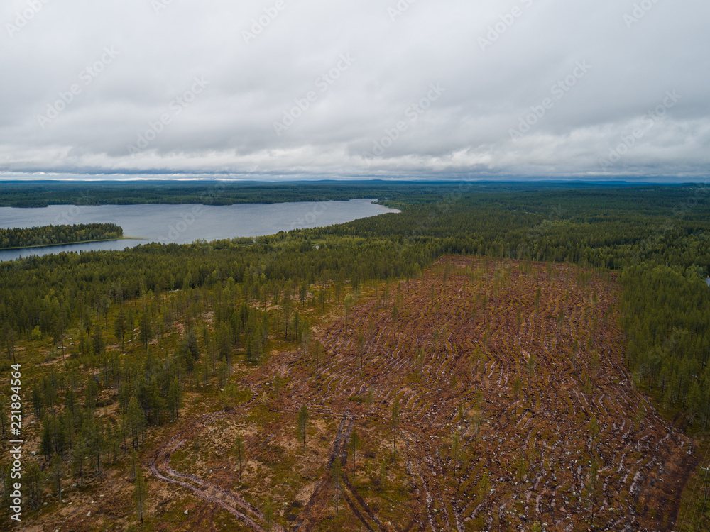 Foto de Finland, forest in Lapland with a open field where deforesting ...