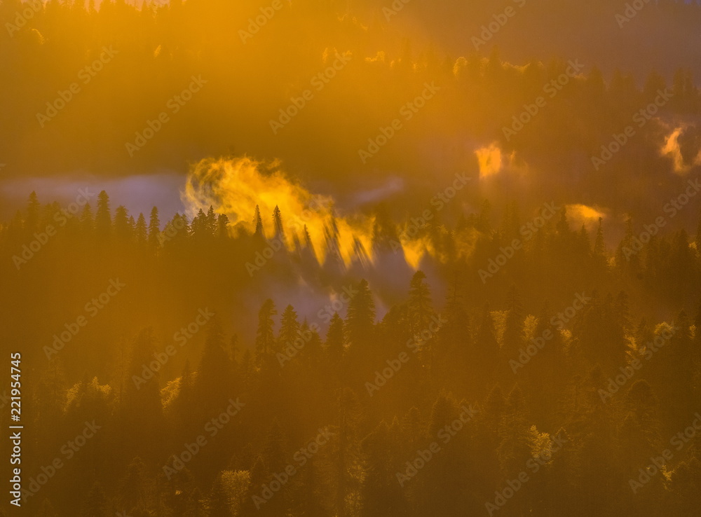 Gold mist in the mountains. Colorful background. Summer sunset in the ...