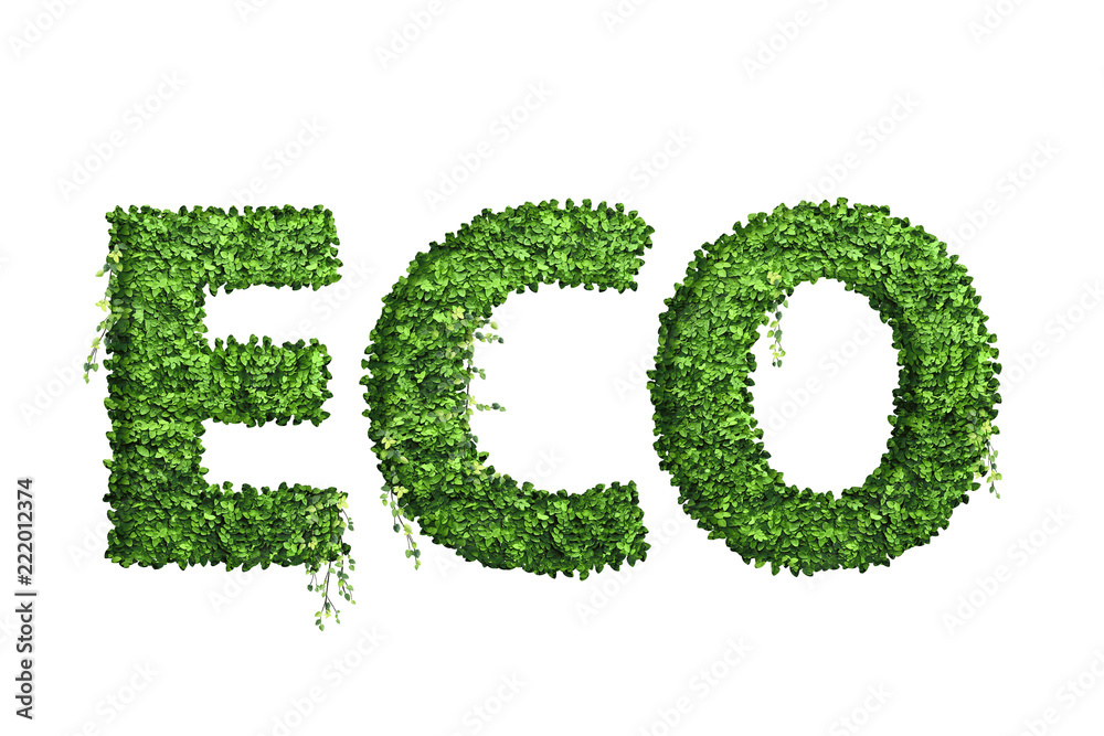 Letter of leaf alphabet. Leaf letter ECO isolated on white background ...