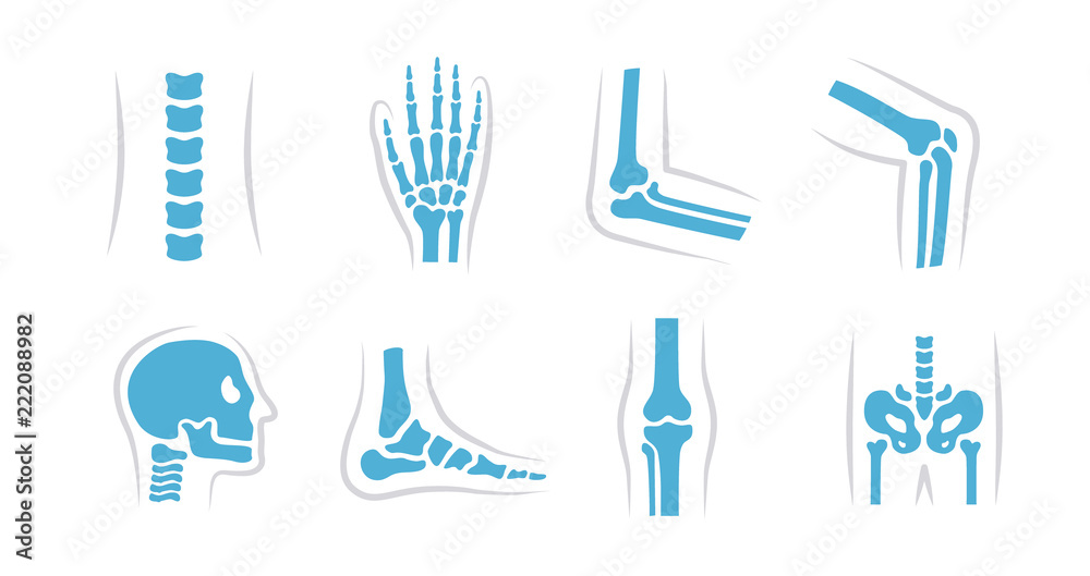 Vector set of knee, leg, pelvis, scapula, skull, elbow, foot, hand and ...