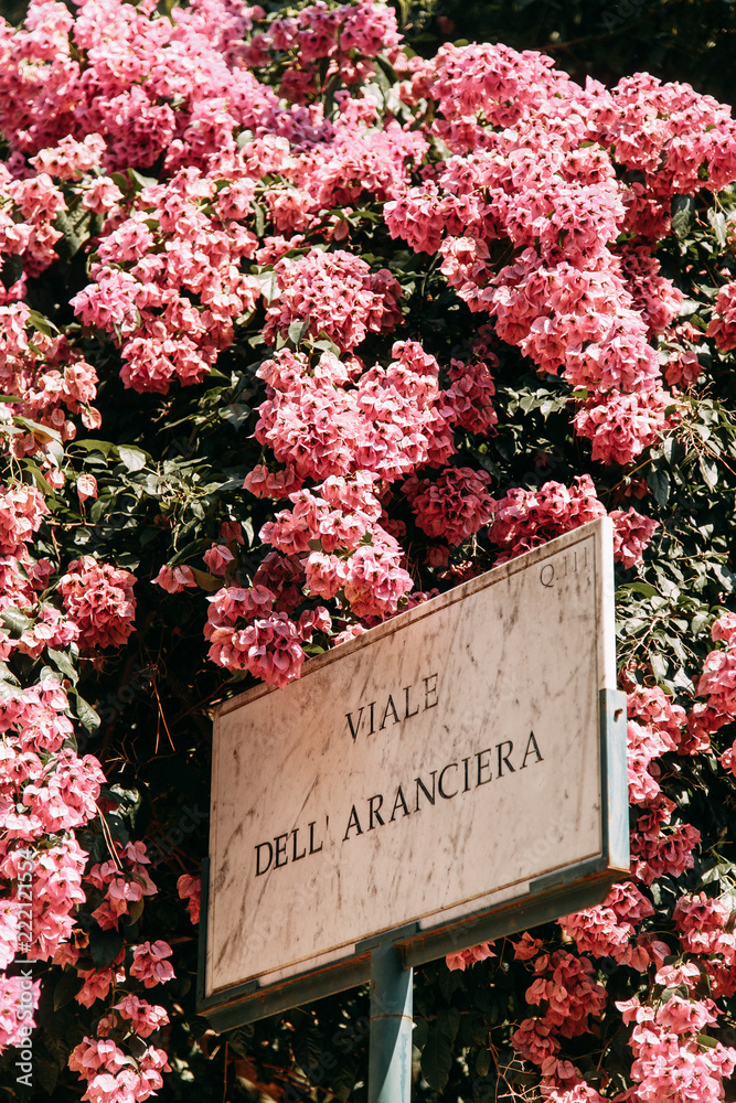 Sculptures in the parks of Rome, nature and architecture. Ancient ...