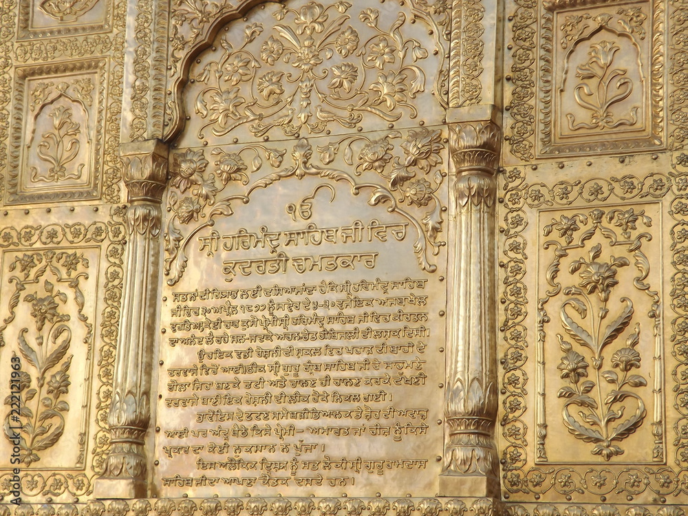 Mool mantar Stock Photo | Adobe Stock