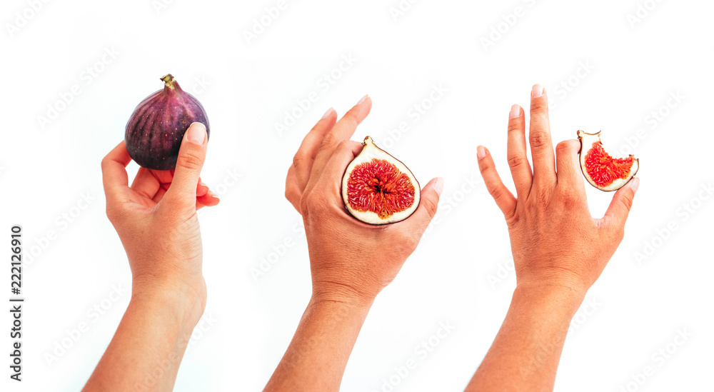 Ripe blue fig in a hand, isolated on white background. A set of woman ...